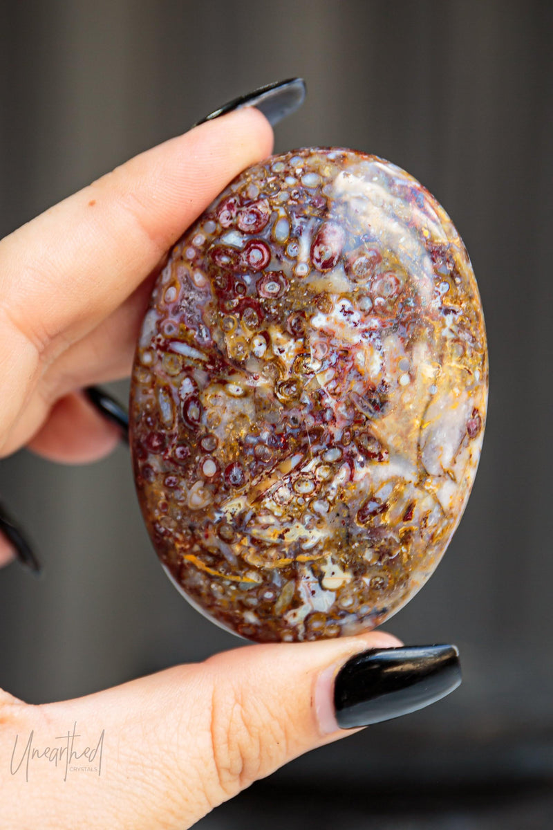 Yellow Palm Root Agate Palm Stone – Unearthed Crystals